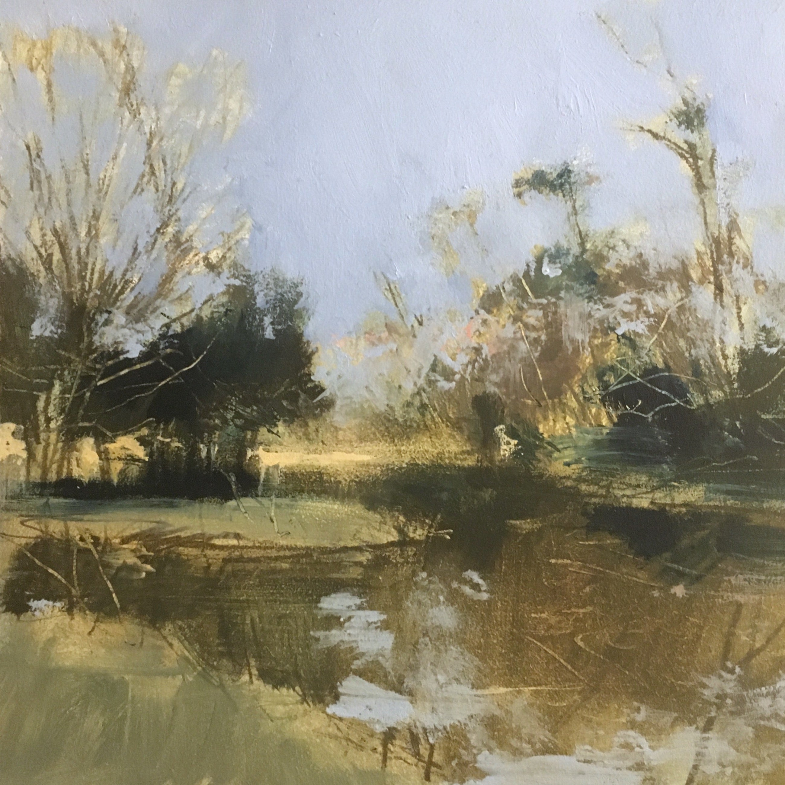 River reflections – Tom Homewood