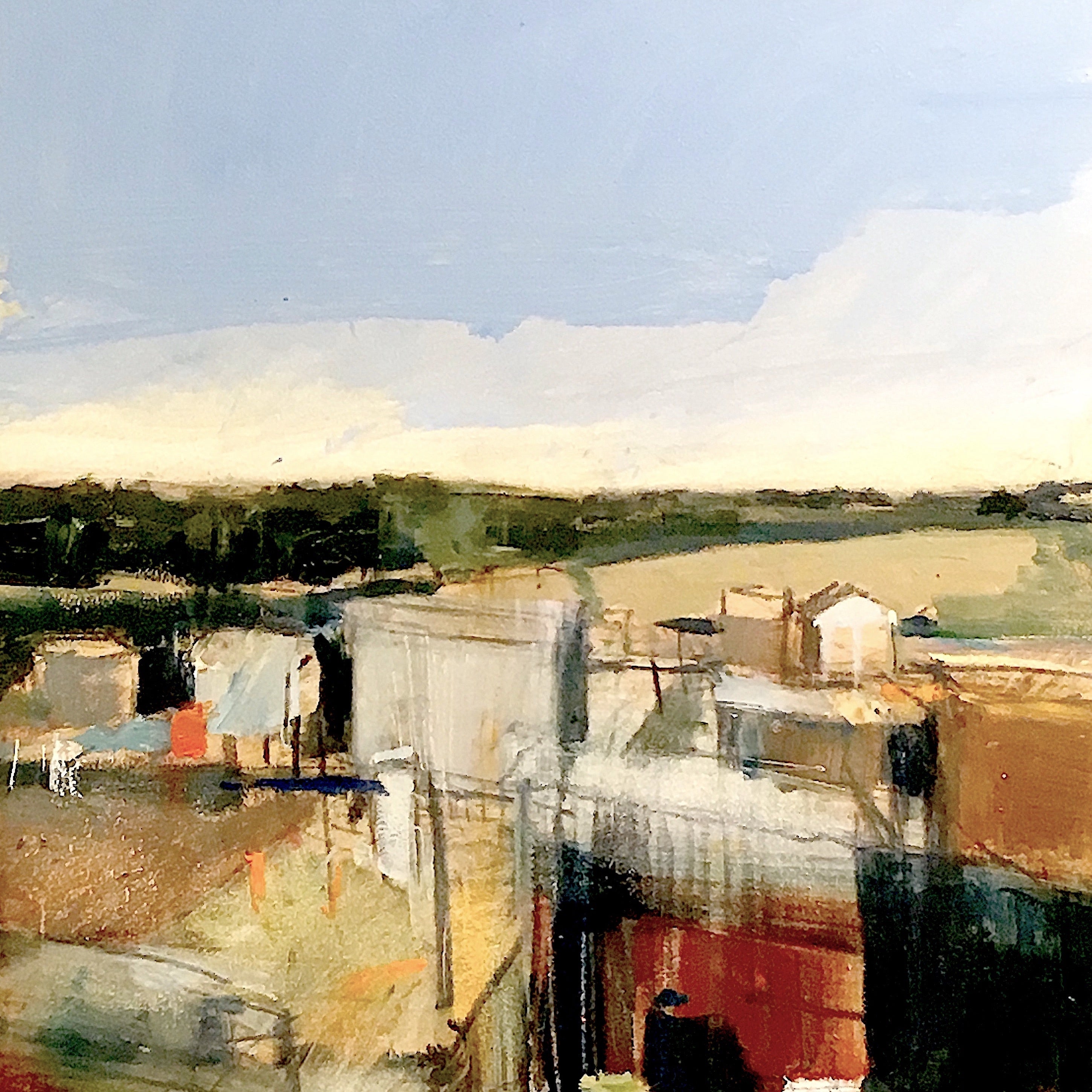 The allotment – Tom Homewood