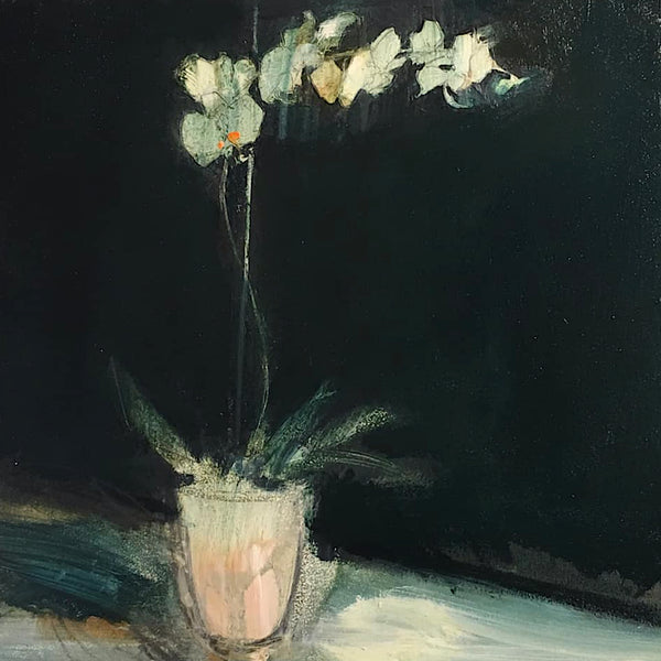 White orchid – Tom Homewood