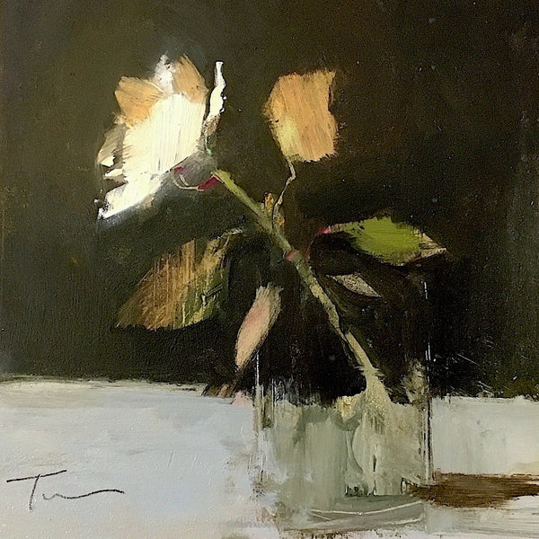 White rose – Tom Homewood