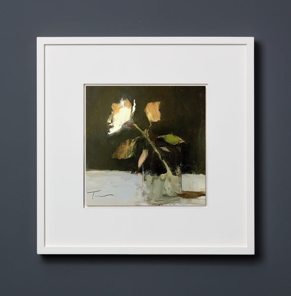 White rose – Tom Homewood